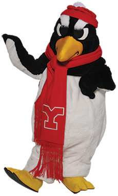 A Parent’s Guide to Greek Life | YSU